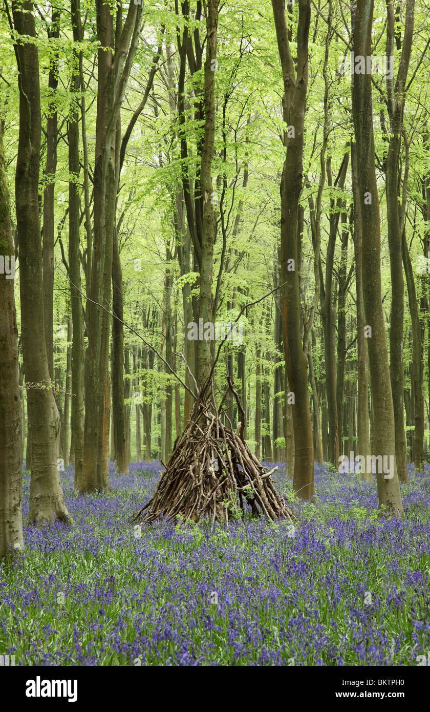 Woodland shelter hi-res stock photography and images - Alamy