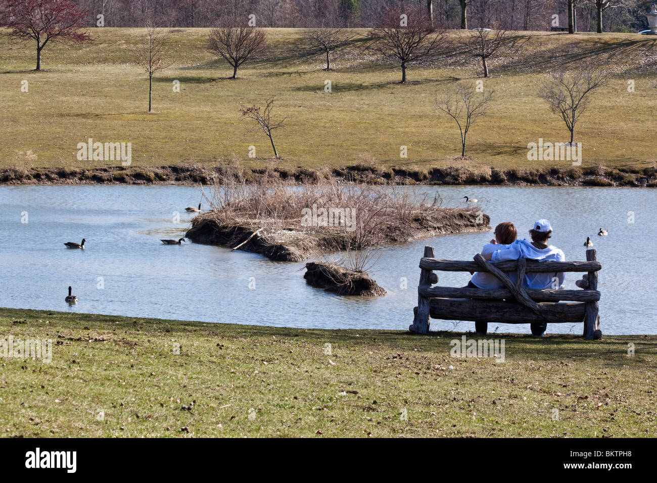 Young couple sitting on the wooden bench at the public park rear view ...