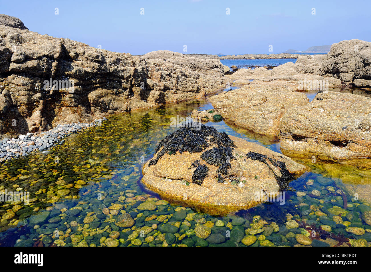 Rock pool cornwall uk hi-res stock photography and images - Alamy