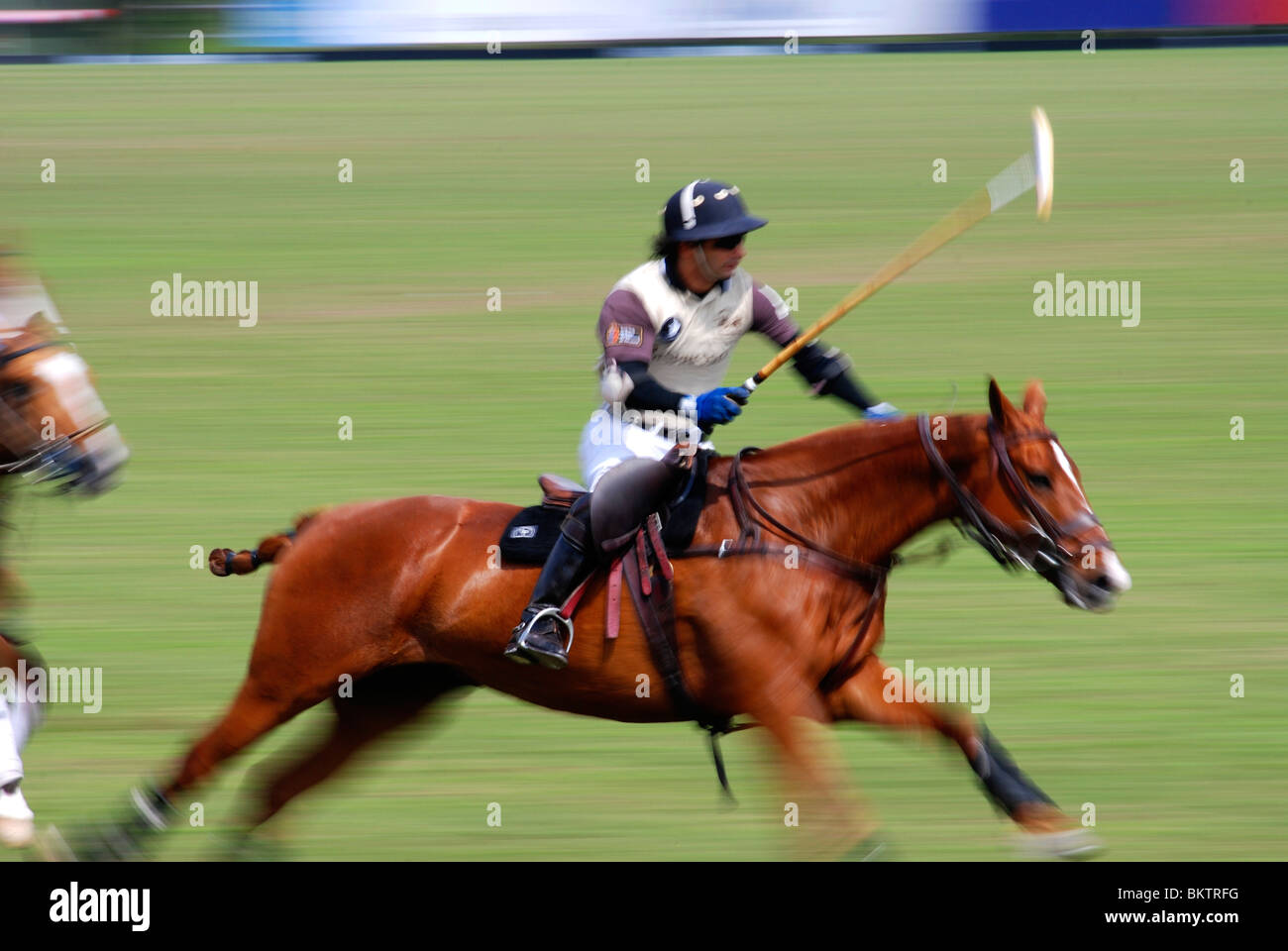 Polo game competition Stock Photo - Alamy