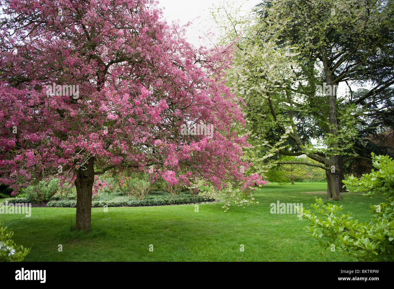 Woodland walk kew garden hi-res stock photography and images - Alamy