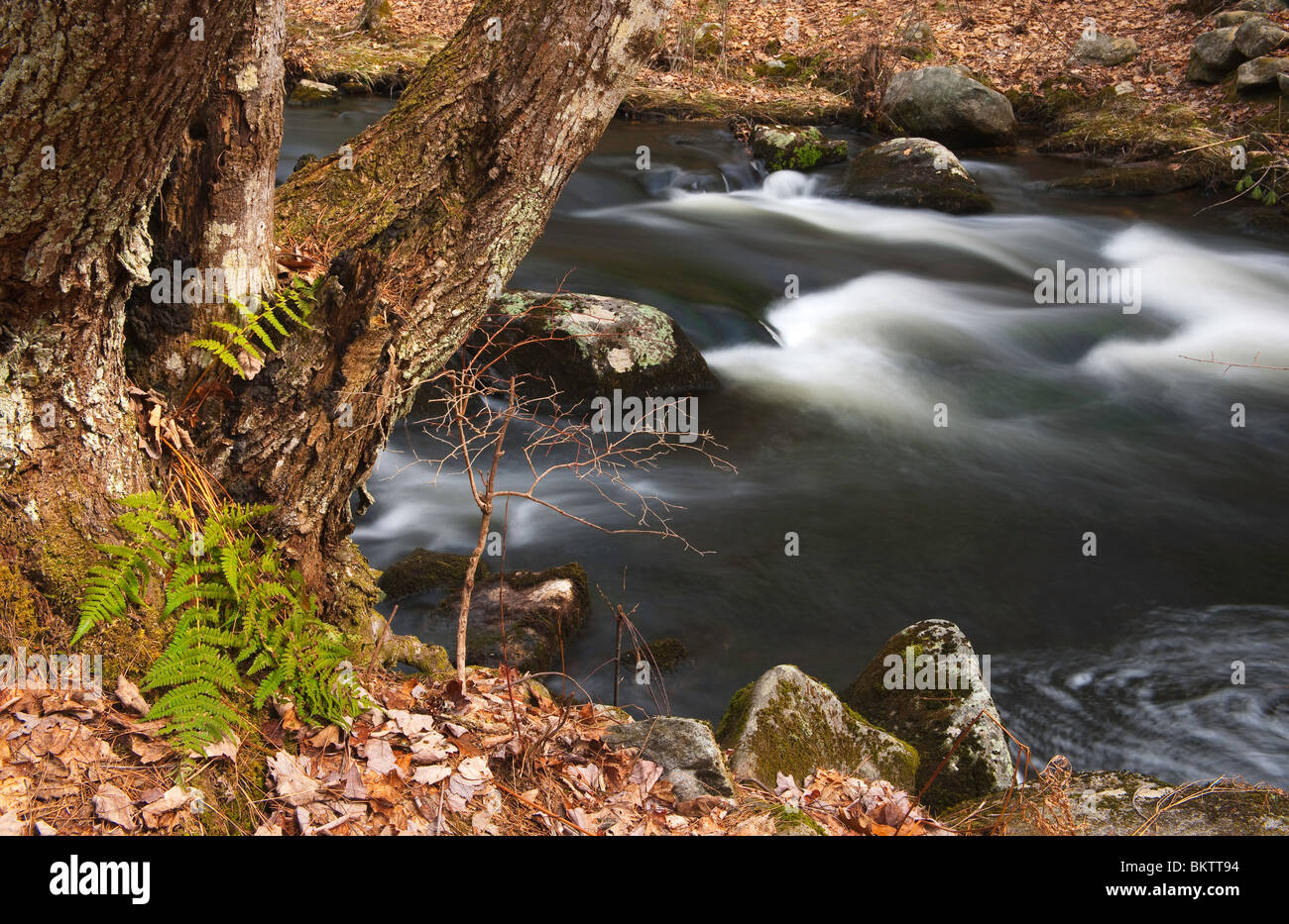 The Swift River, flowing toward the Quabbin Reservoir at Gate 30 Stock ...