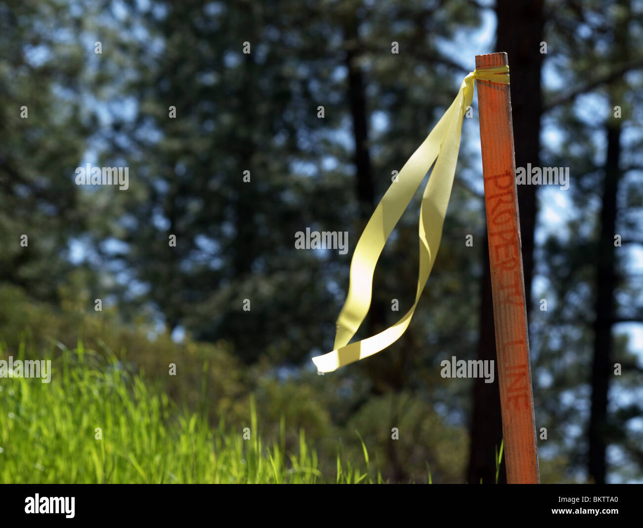 A stake designating a property line Stock Photo - Alamy