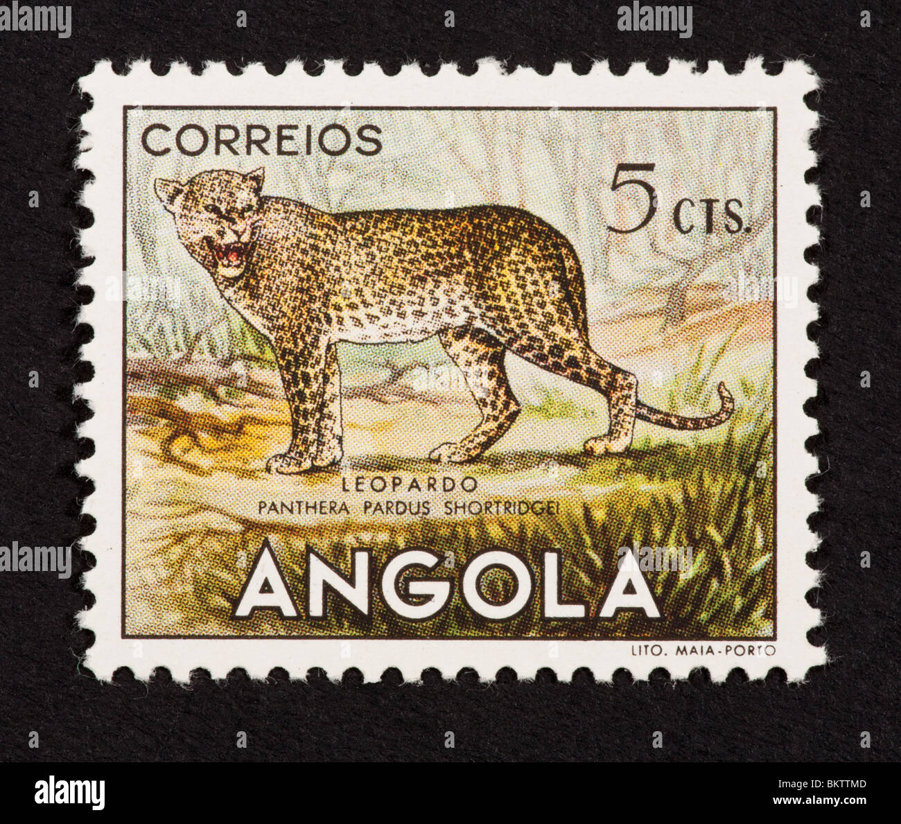Postage stamp from Angola depicting a cheetah Stock Photo - Alamy