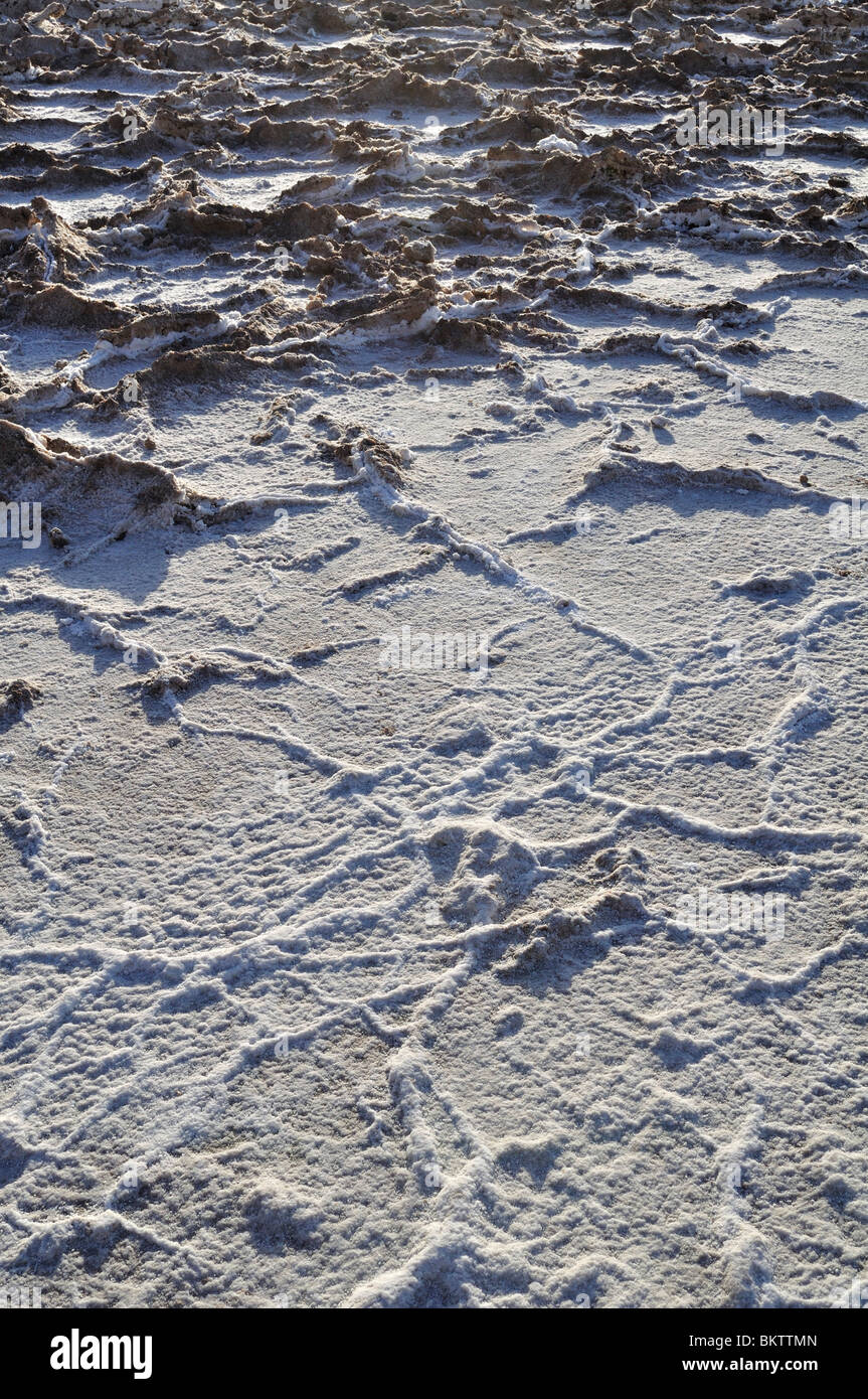 Cracked salt brine ground texture in bad water section of Death Valley ...