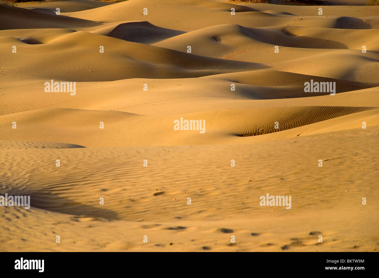 Transverse Sand Dunes