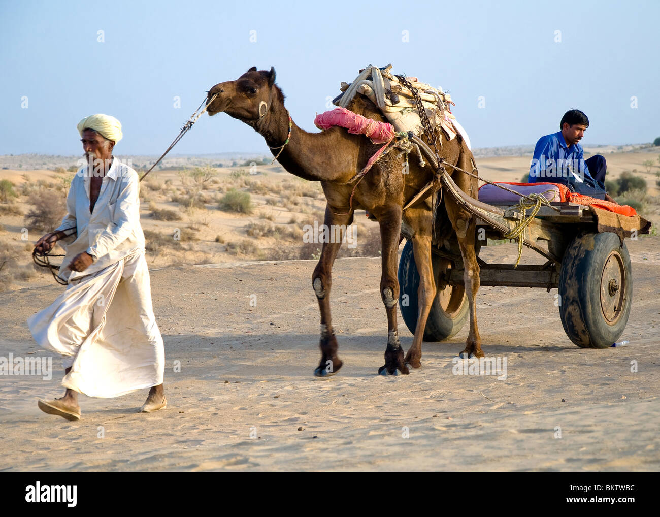 Camel of rajasthan hi-res stock photography and images - Alamy