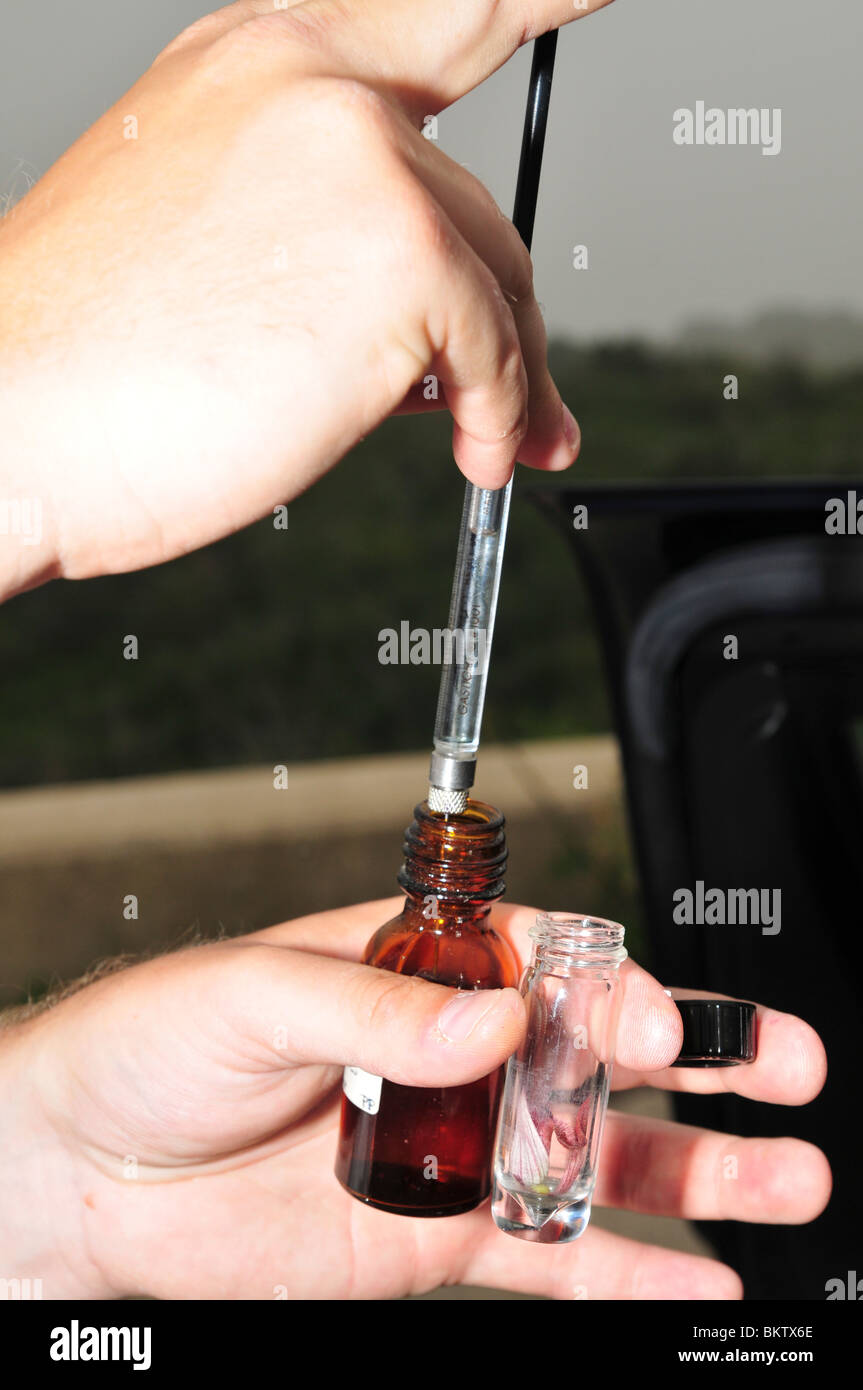 Field botanist hi-res stock photography and images - Alamy