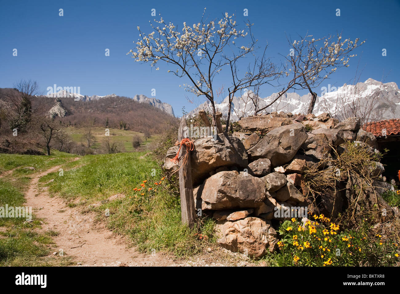 Picos europa hi-res stock photography and images - Alamy