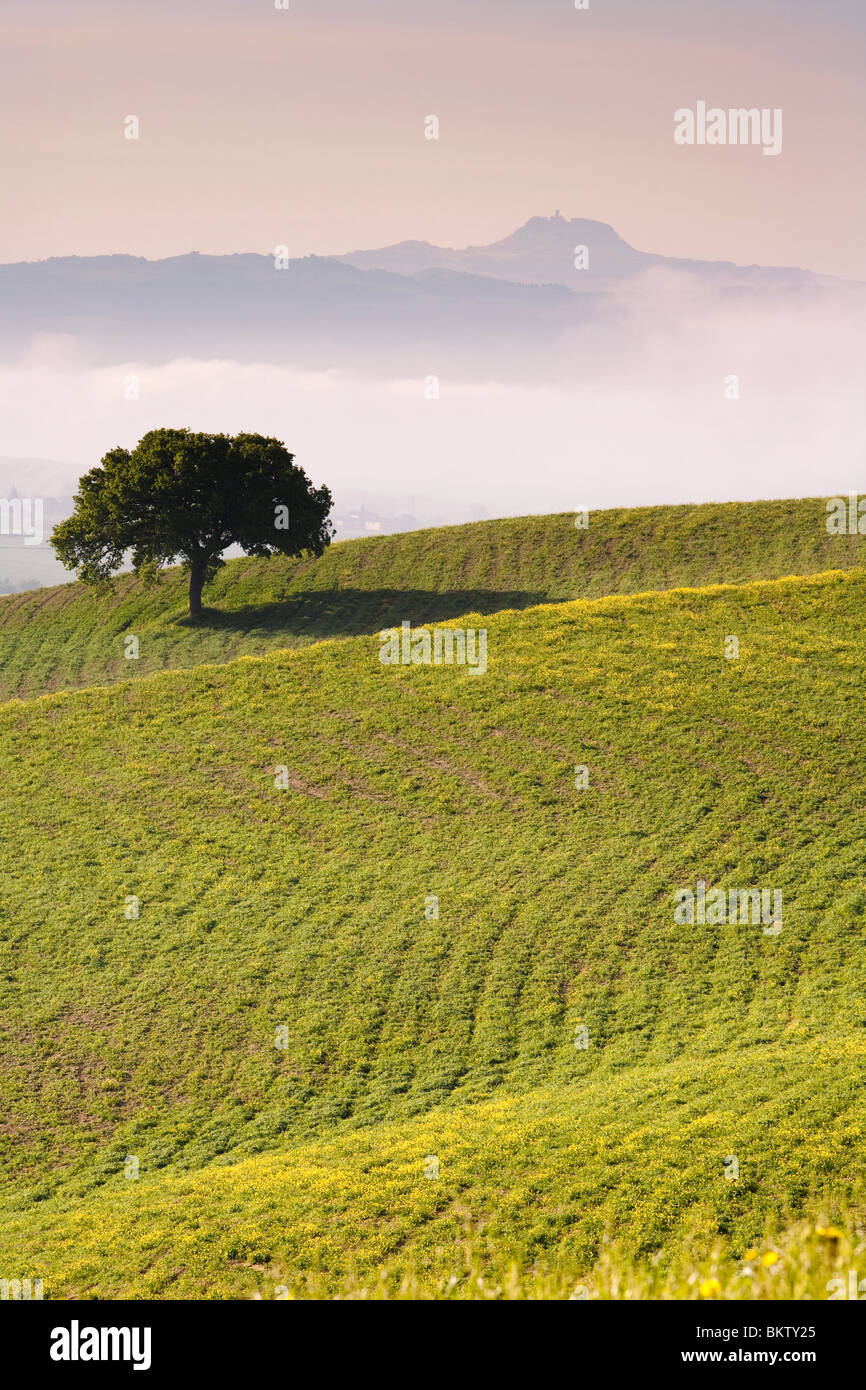 Misty morning in tuscan italy hi-res stock photography and images - Alamy