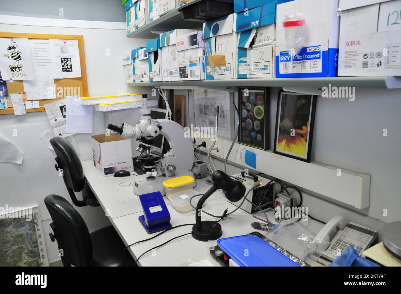 Microscope optical hi-res stock photography and images - Alamy