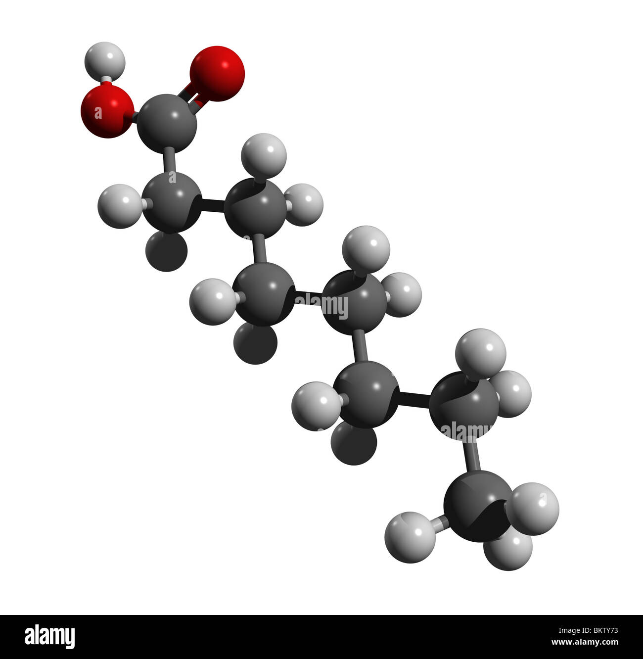 caprylic acid, octanoic acid (colorcode: black=carbon, white=hydrogen ...