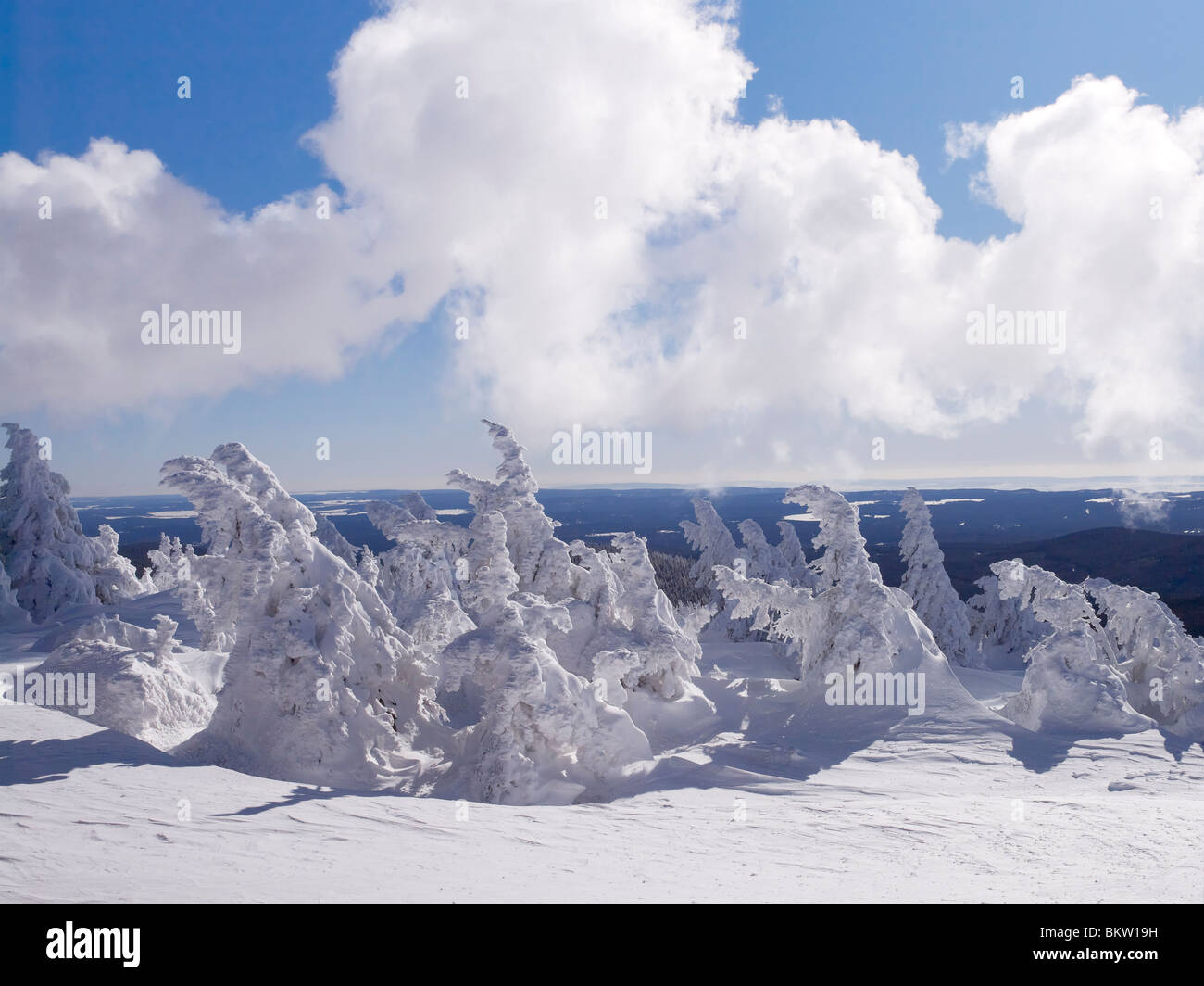 Winter germany hi-res stock photography and images - Alamy