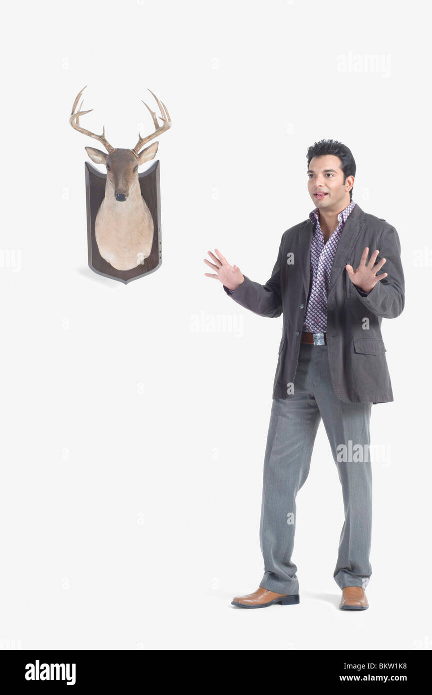 Front view of deer Cut Out Stock Images & Pictures - Alamy