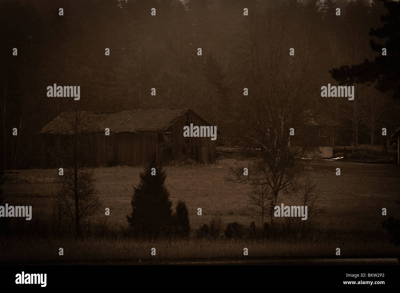 Scary Shed High Resolution Stock Photography and Images - Alamy