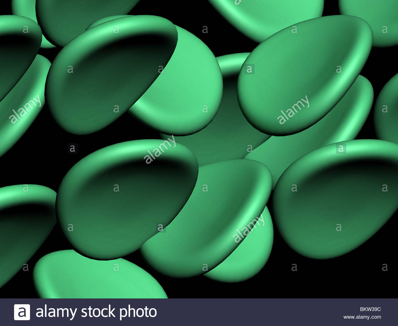Chloroplast Stock Photos & Chloroplast Stock Images - Alamy