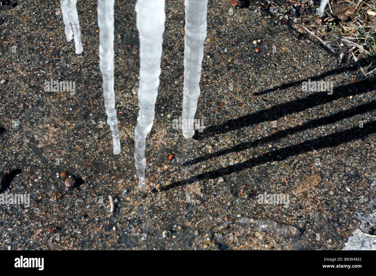 Spikey frozen ice hi-res stock photography and images - Alamy