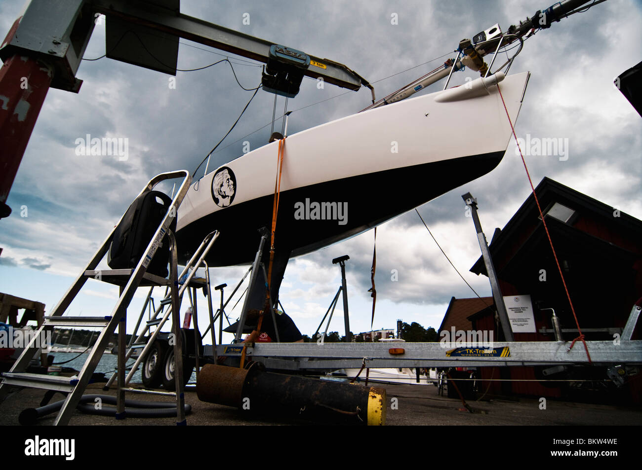 Life on land hi-res stock photography and images - Alamy