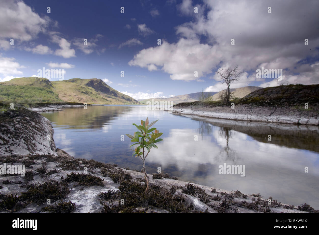zicht op de bergen vanaf een eiland in het meer Lough Mask, Ierland ...