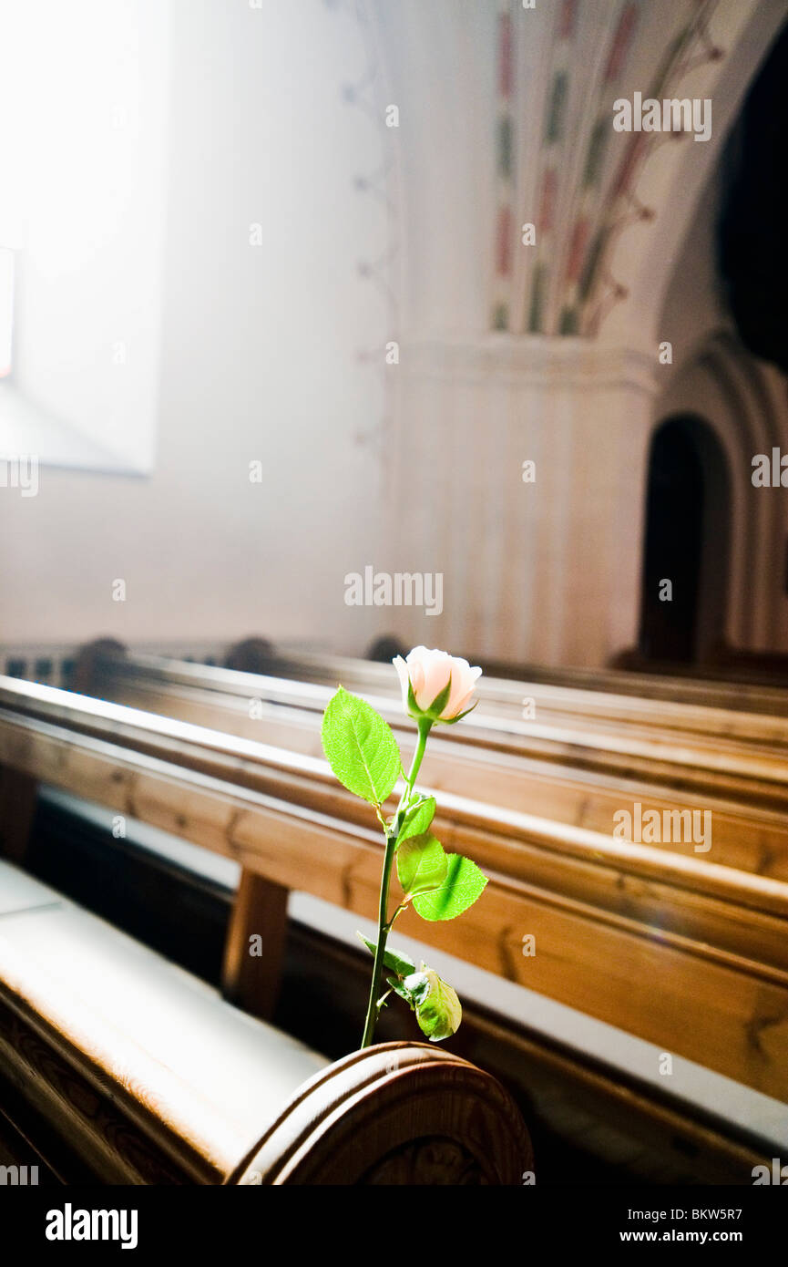 Rose Church High Resolution Stock Photography and Images - Alamy