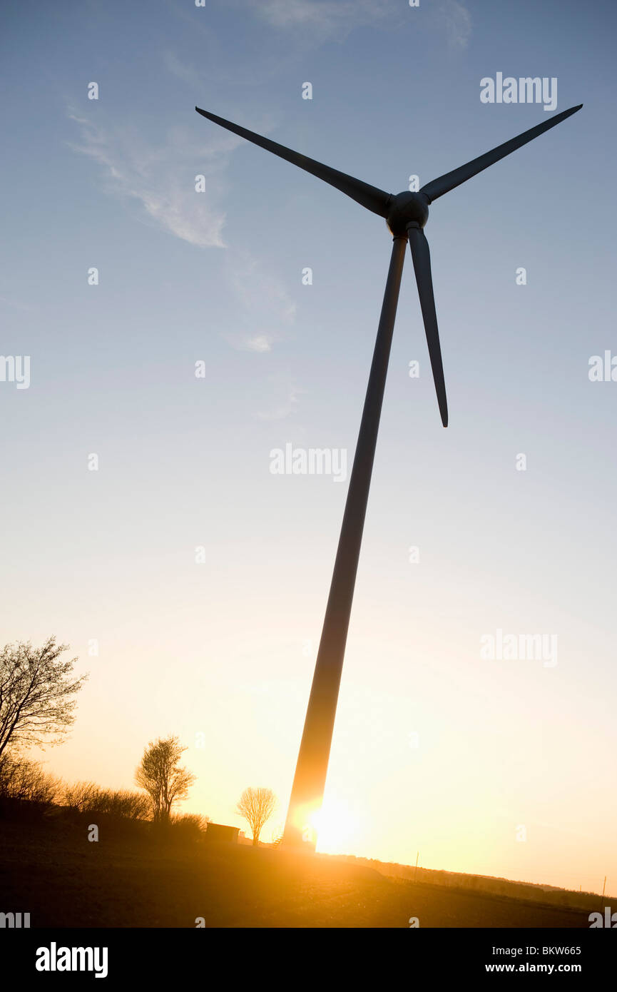 Lonely Environment High Resolution Stock Photography and Images - Alamy