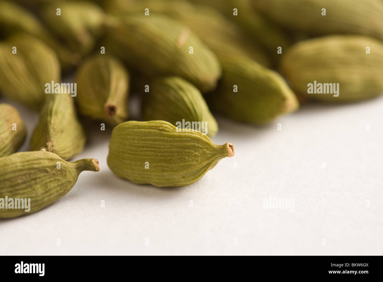 Green cardamom pods Stock Photo - Alamy
