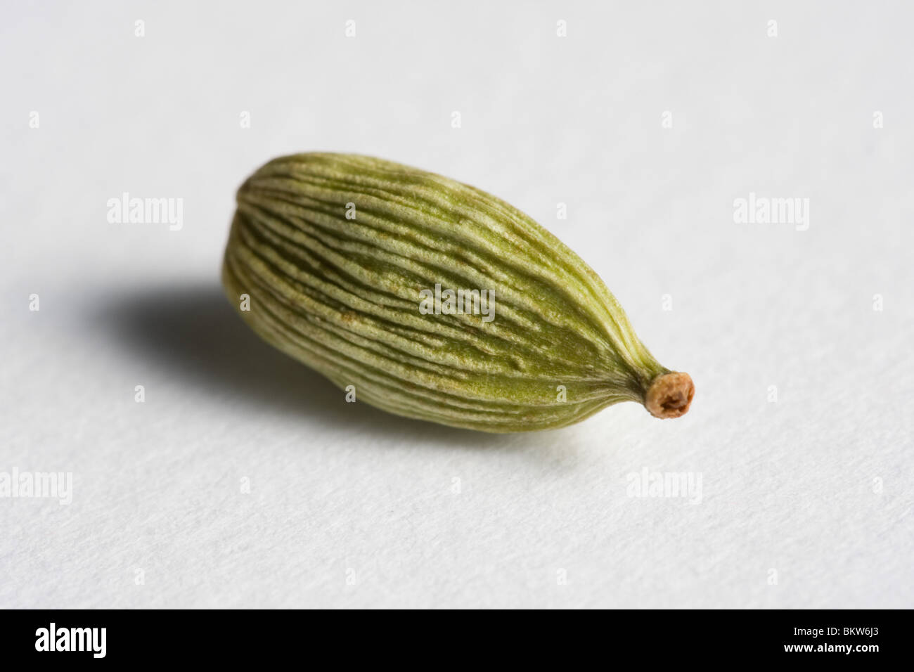 One green cardamom pods Stock Photo - Alamy