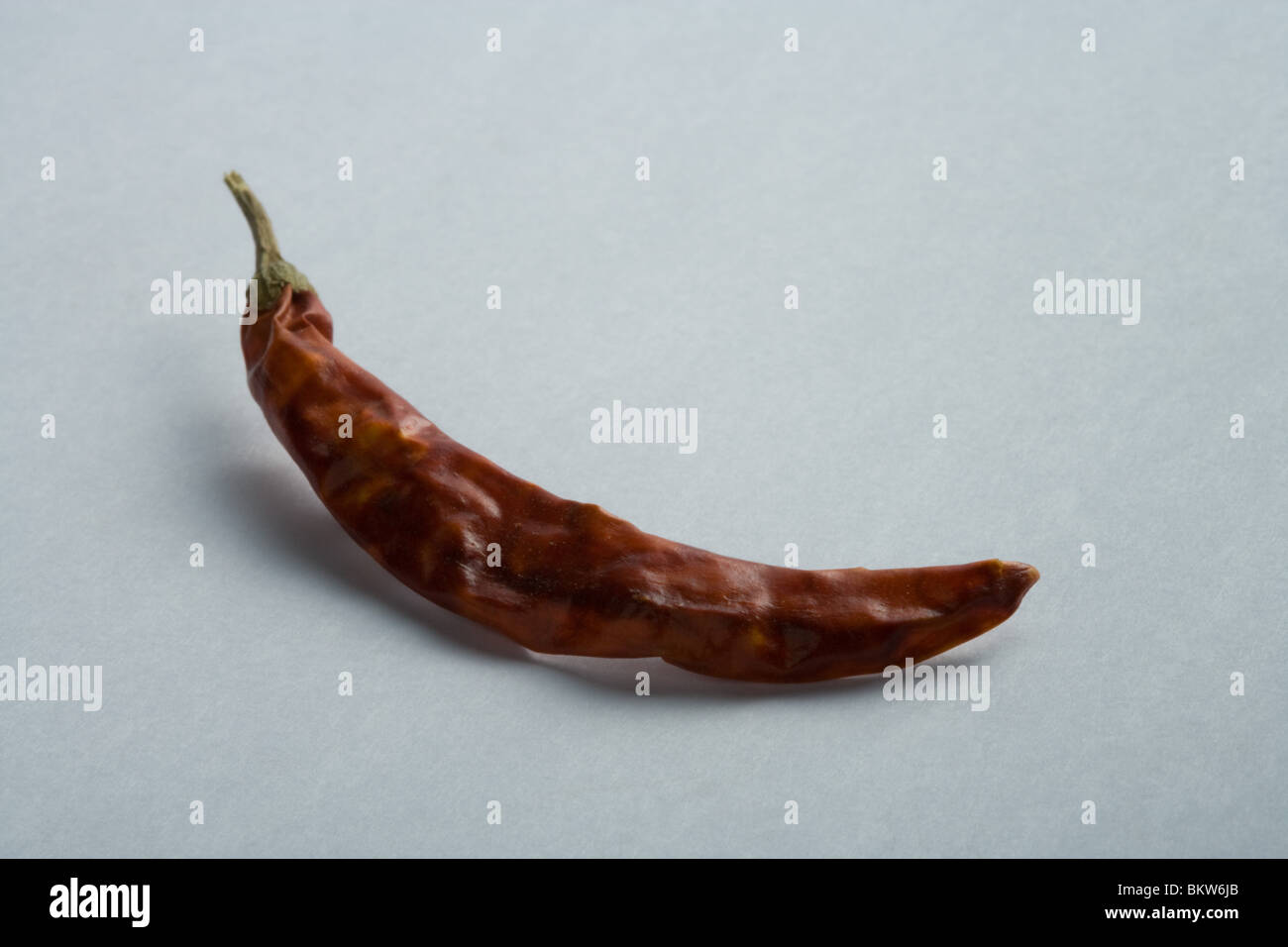 One red dried chili pepper Stock Photo - Alamy