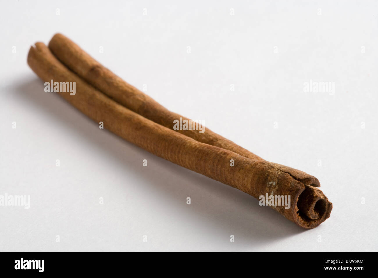 One cinnamon stick Stock Photo - Alamy