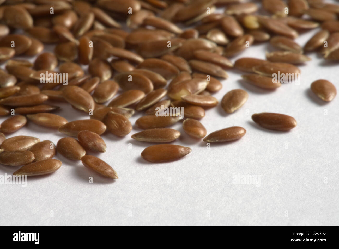 Felix seed hi-res stock photography and images - Alamy