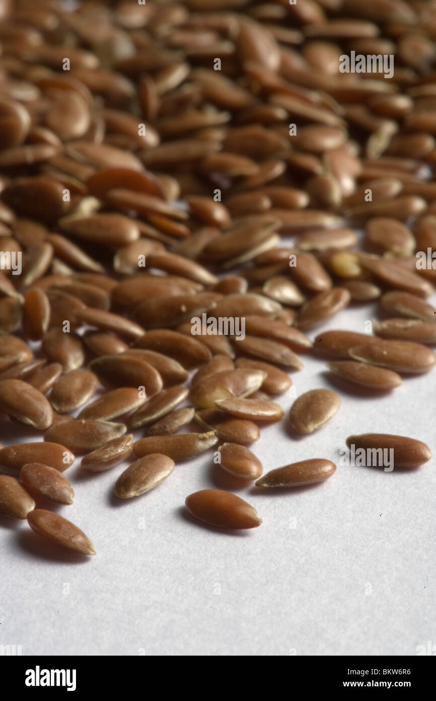 Felix seed hi-res stock photography and images - Alamy
