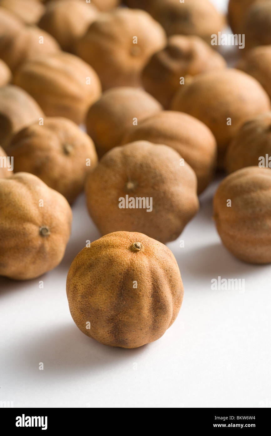 Vertical shot dry lemon hi-res stock photography and images - Alamy
