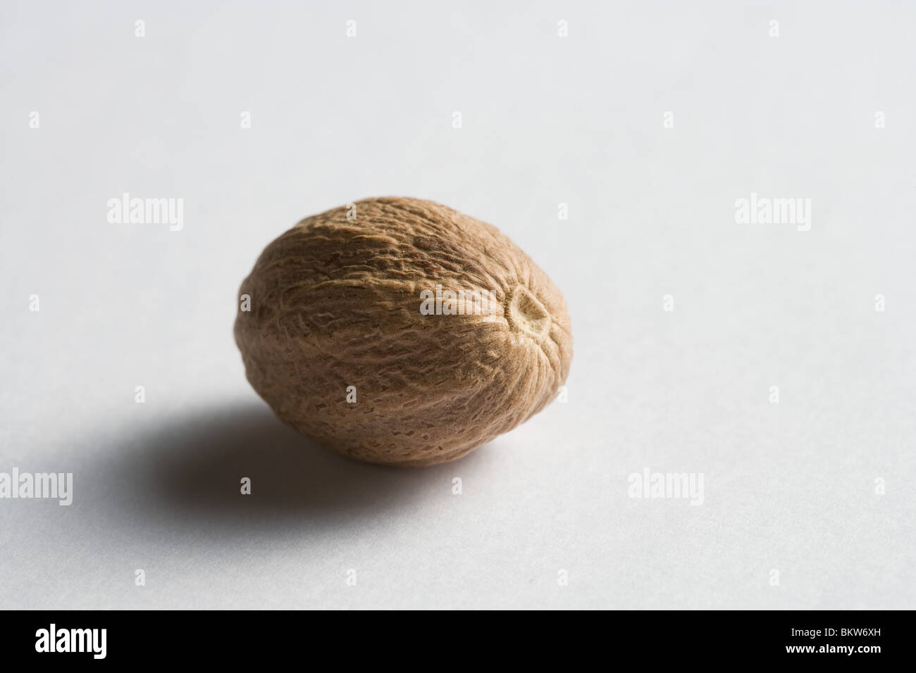 One nutmeg with no shell Stock Photo - Alamy