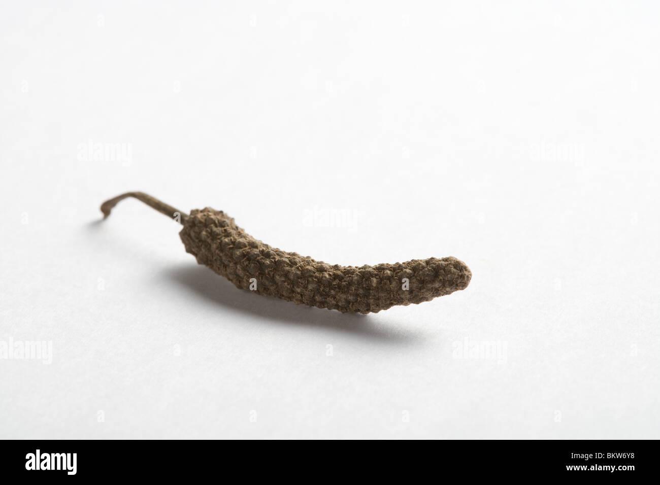 One long black pepper Stock Photo - Alamy