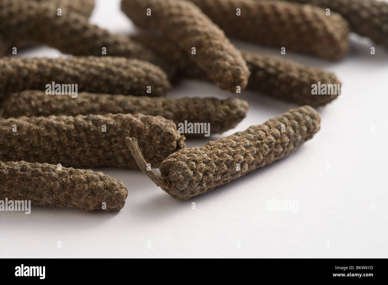 Long black pepper Stock Photo - Alamy