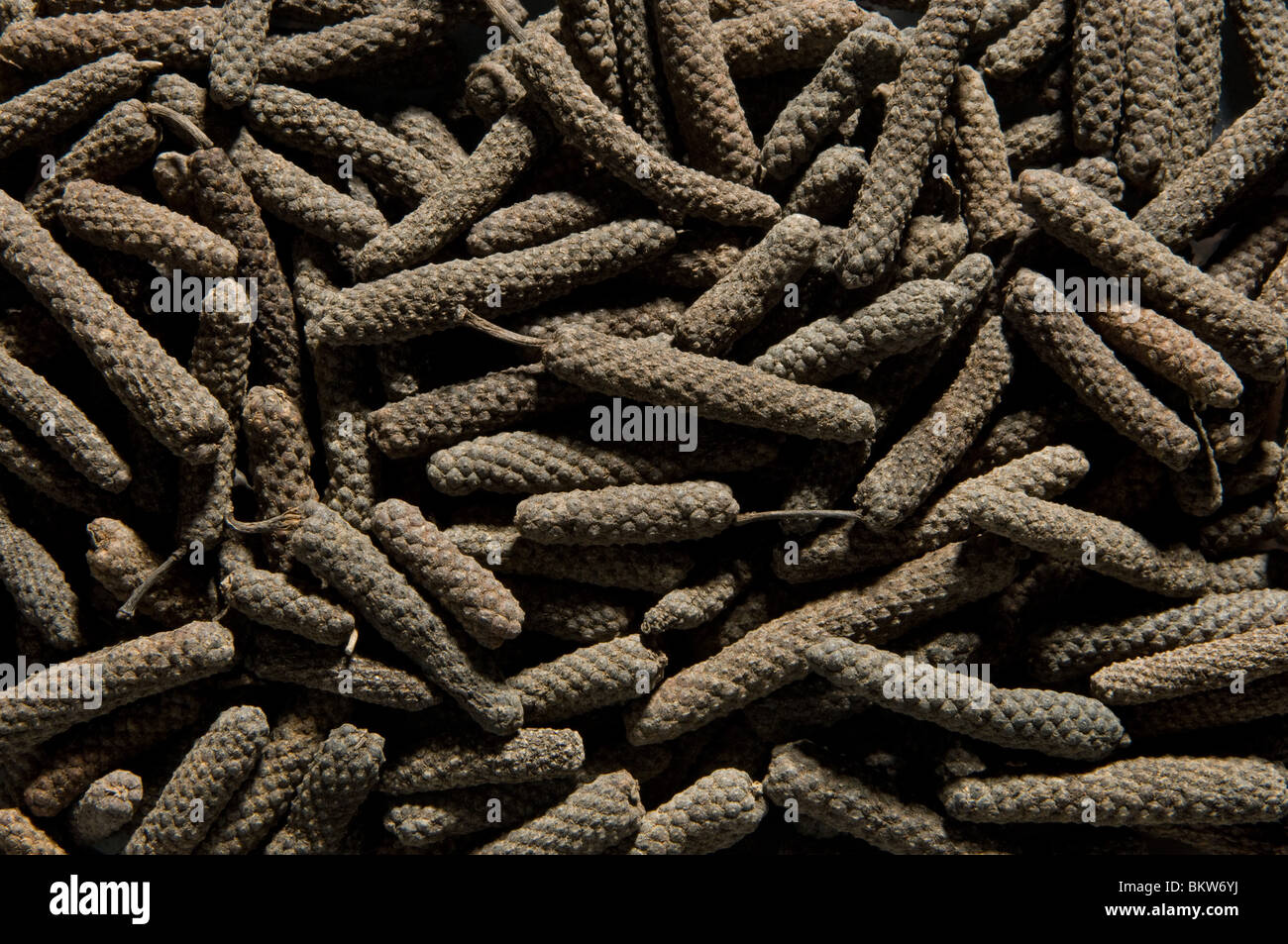 Long black pepper Stock Photo - Alamy