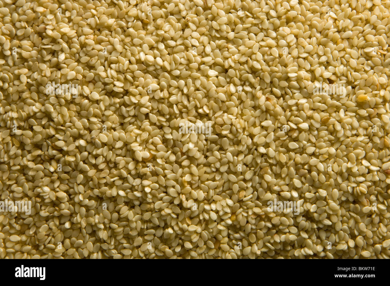 Benne seed hi-res stock photography and images - Alamy
