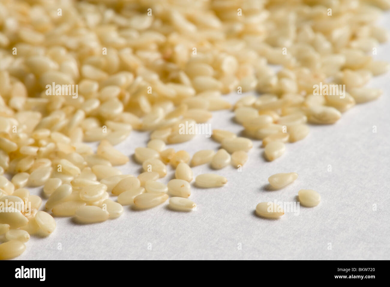 Benne seed hi-res stock photography and images - Alamy