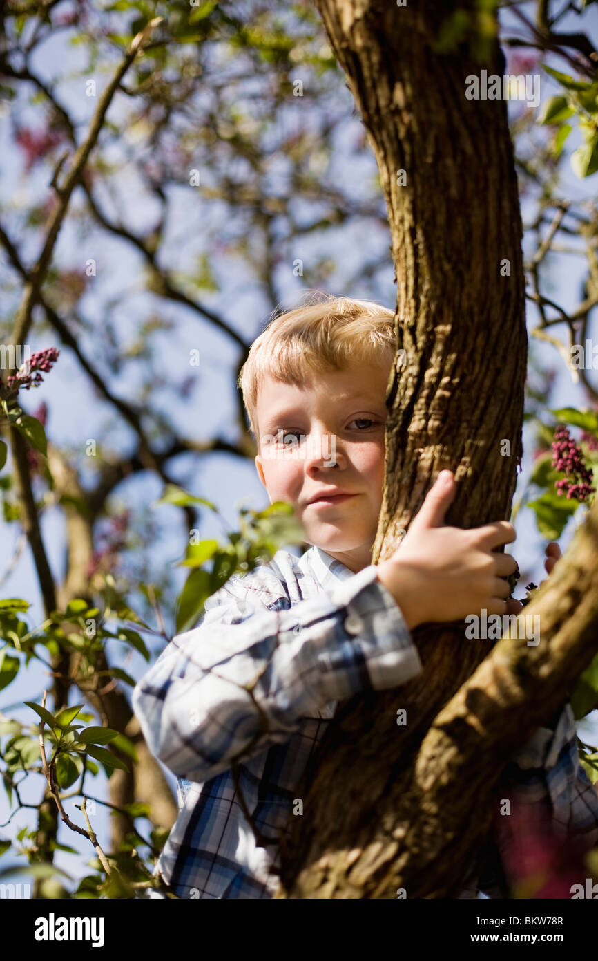 Tree above boy climbing hi-res stock photography and images - Alamy