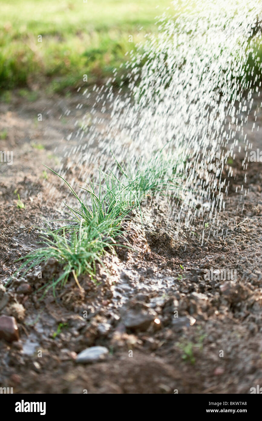 Irrigation water plants hi-res stock photography and images - Alamy