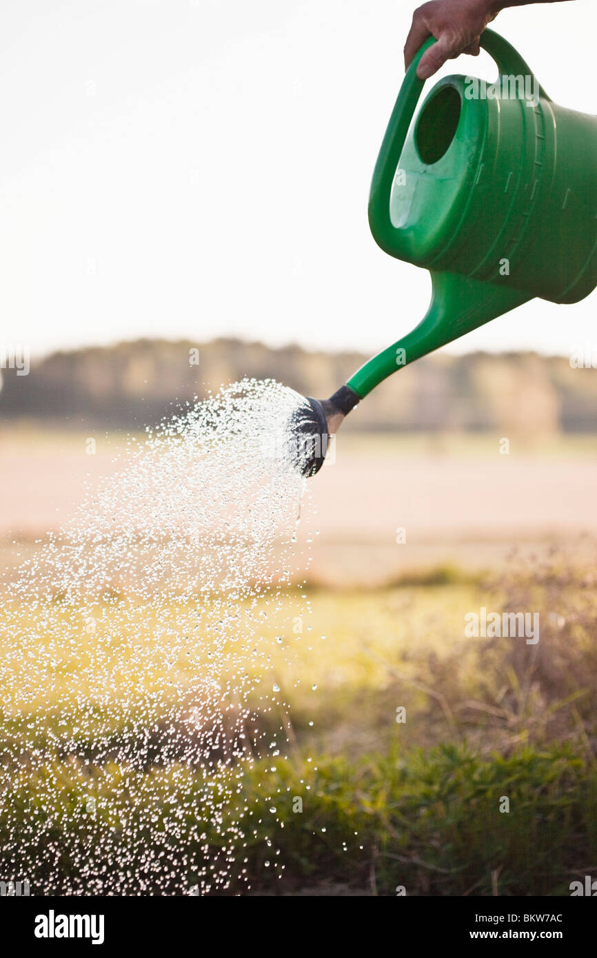 Water pitchers hi-res stock photography and images - Alamy