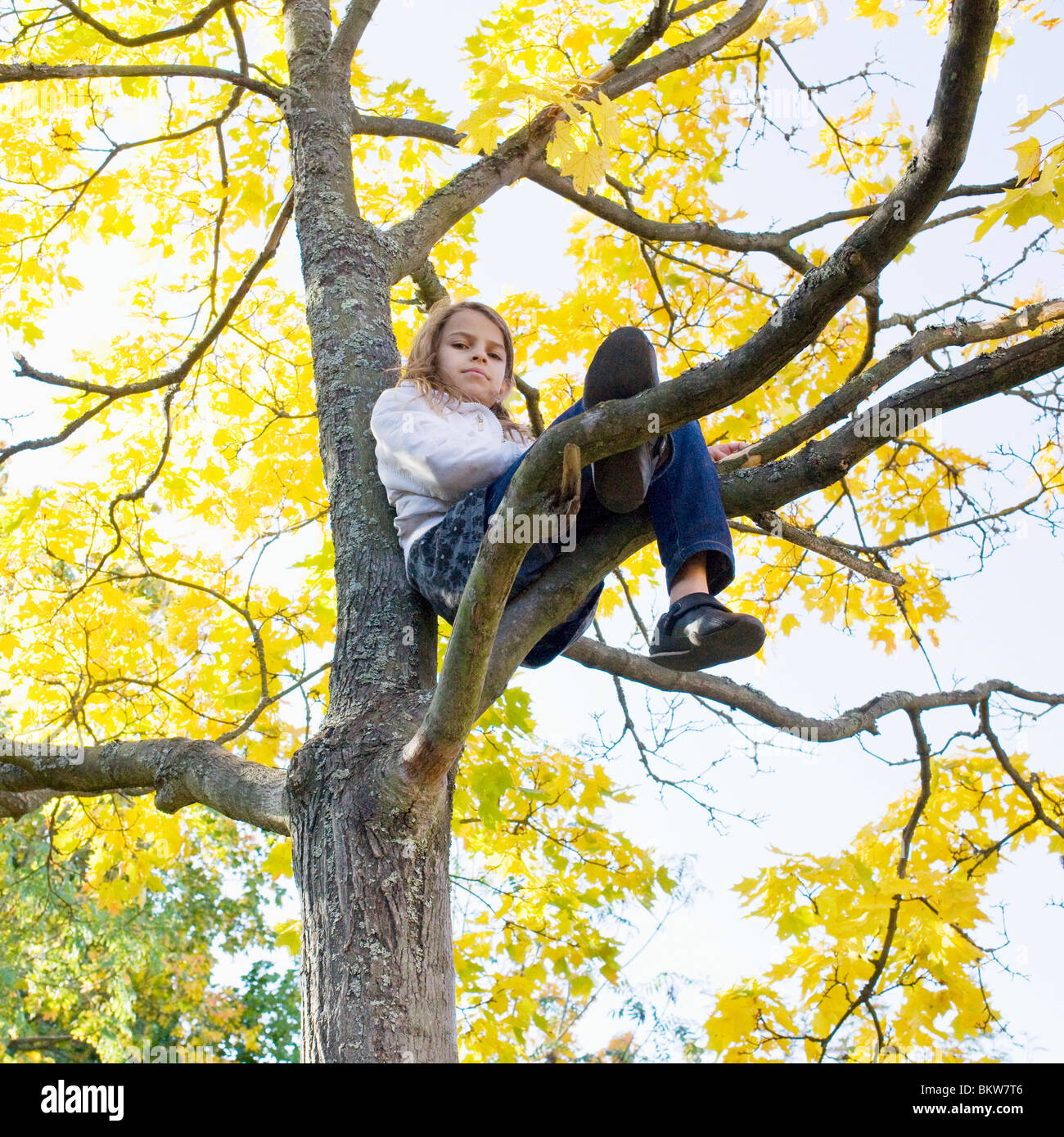 Girl sitting in tree Stock Photo - Alamy