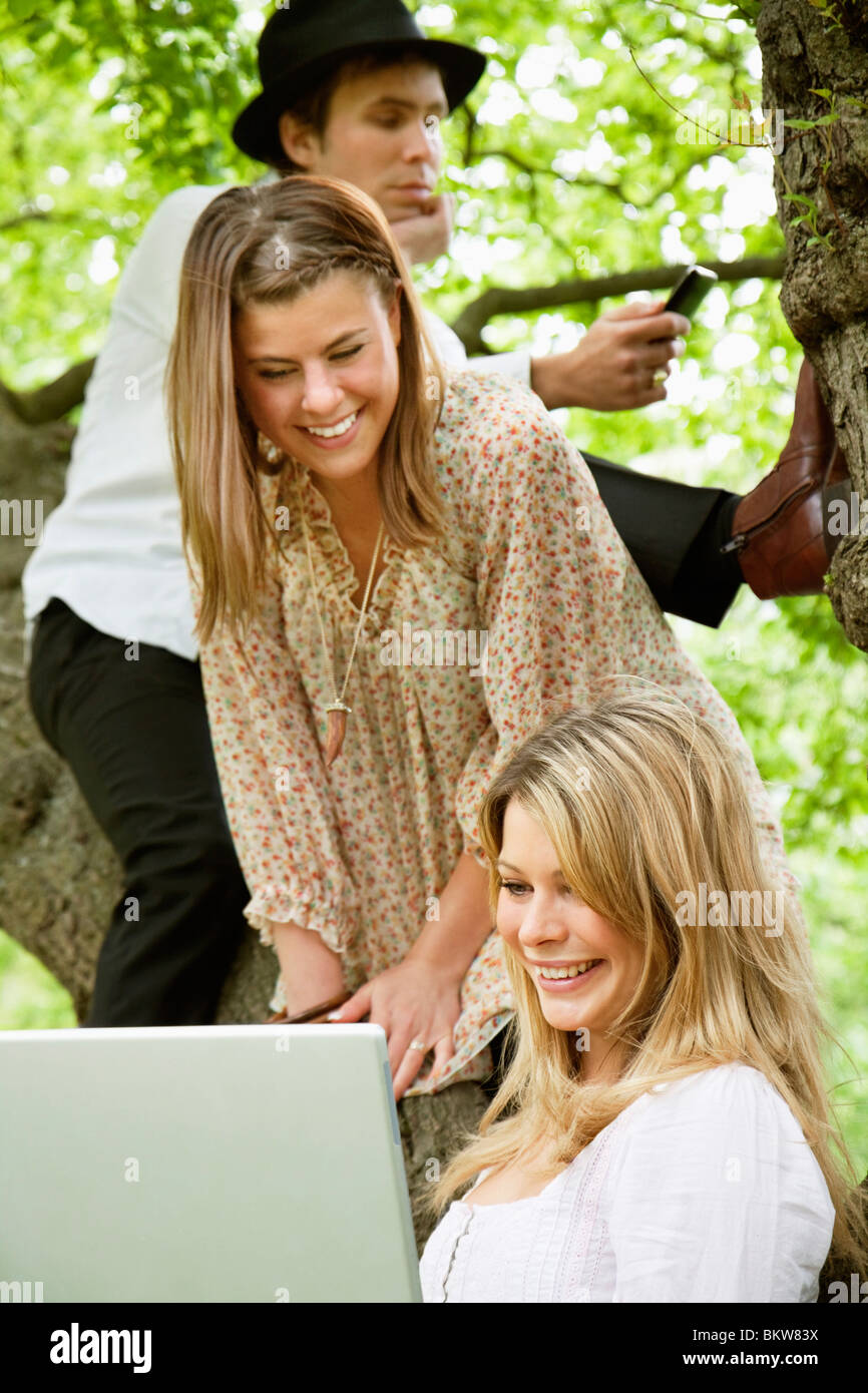 Three branches above hi-res stock photography and images - Alamy
