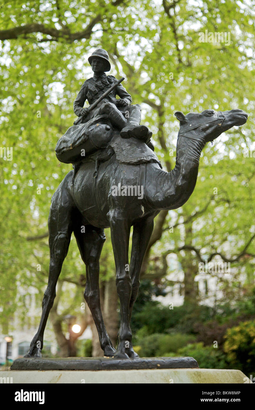 Camel Cavalry High Resolution Stock Photography and Images - Alamy