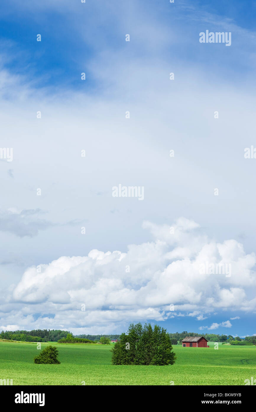 Blue sky over field Stock Photo - Alamy