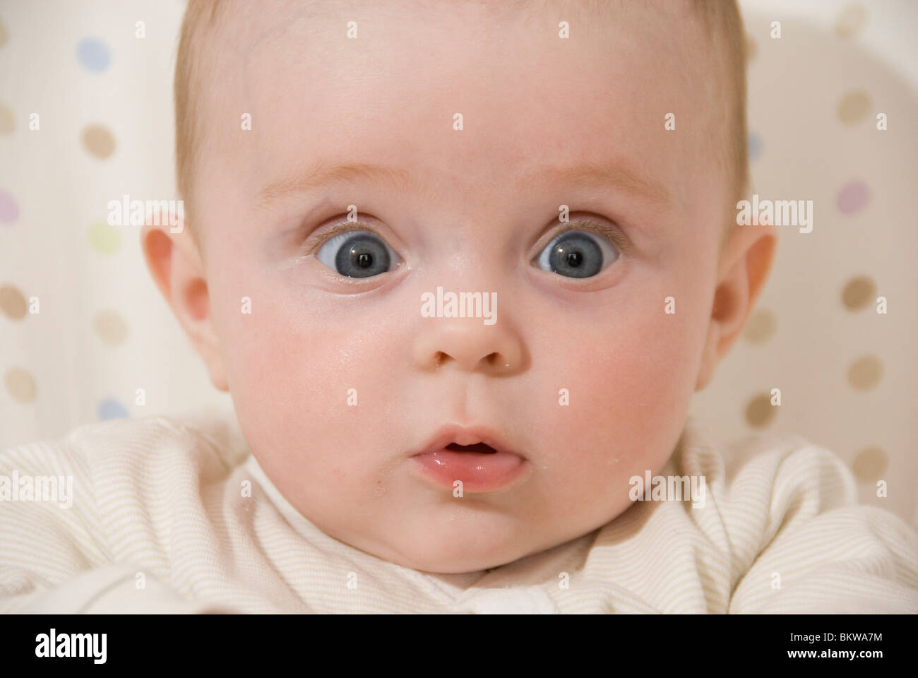 Close Up on Surprised Face and Wide Eyes of Baby Girl on Spotted ...