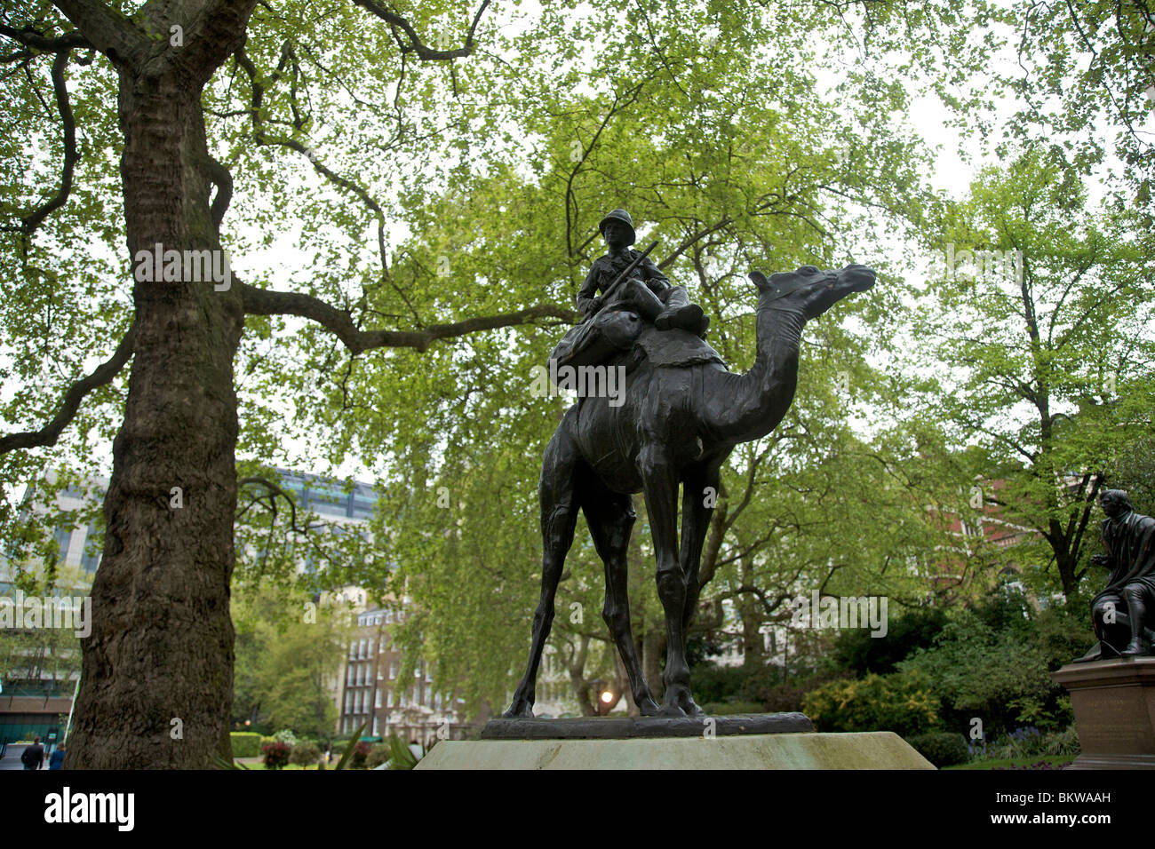 Camel Cavalry High Resolution Stock Photography and Images - Alamy