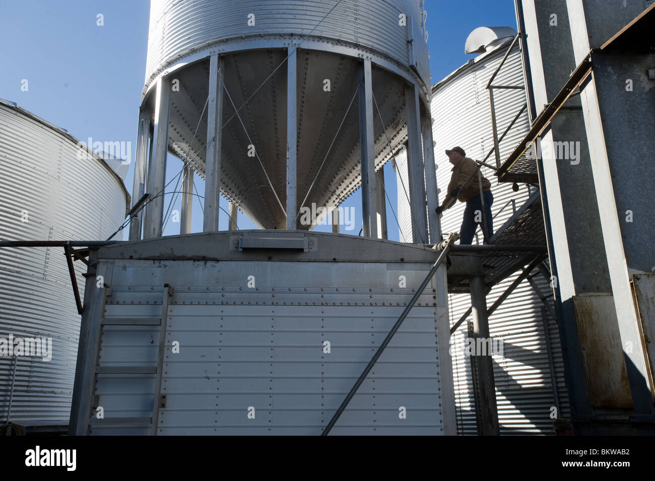 Grain bins on farm Stock Photo - Alamy