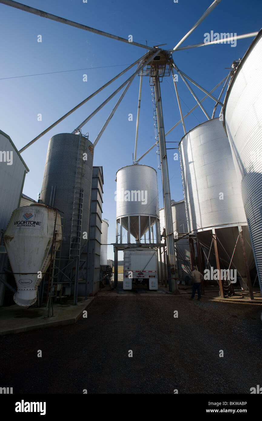 Grain bins on farm Stock Photo - Alamy