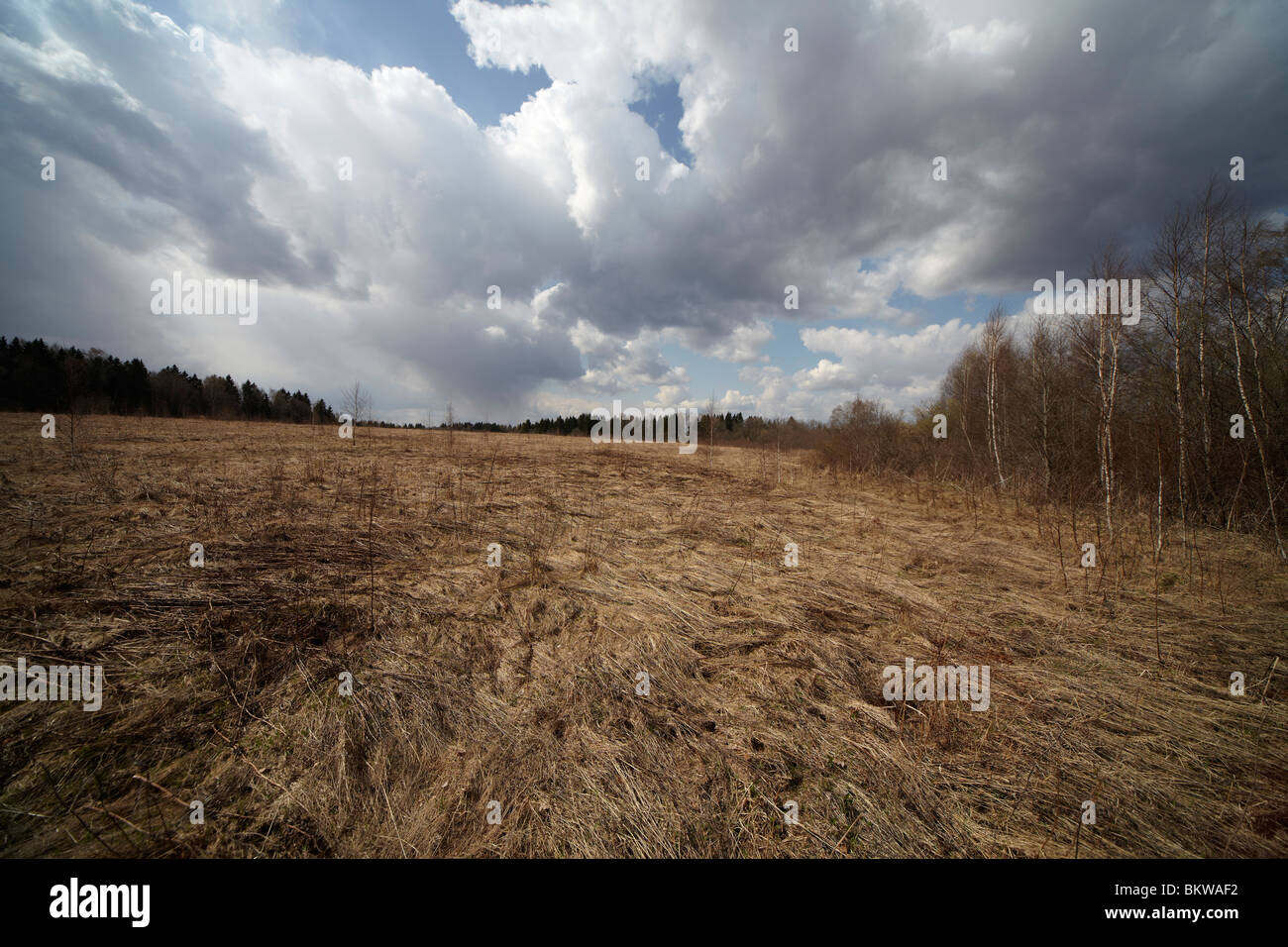 Russian field in early spring Stock Photo - Alamy